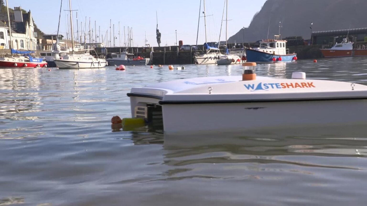 Five ways people are trying to help the environment