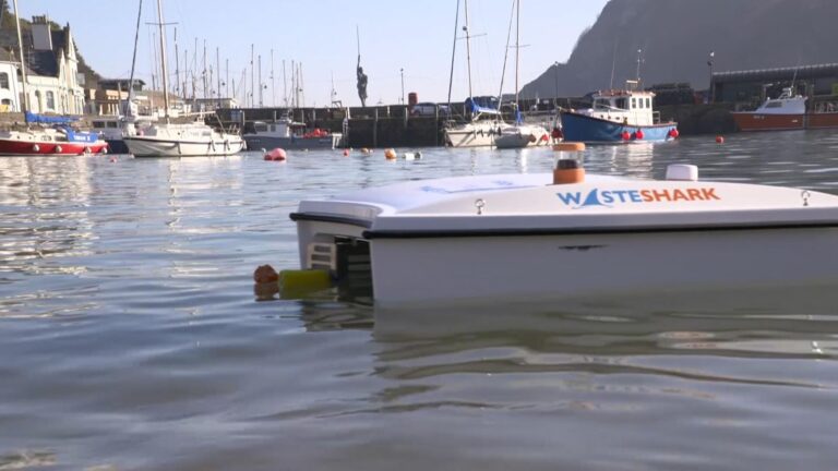 Five ways people are trying to help the environment