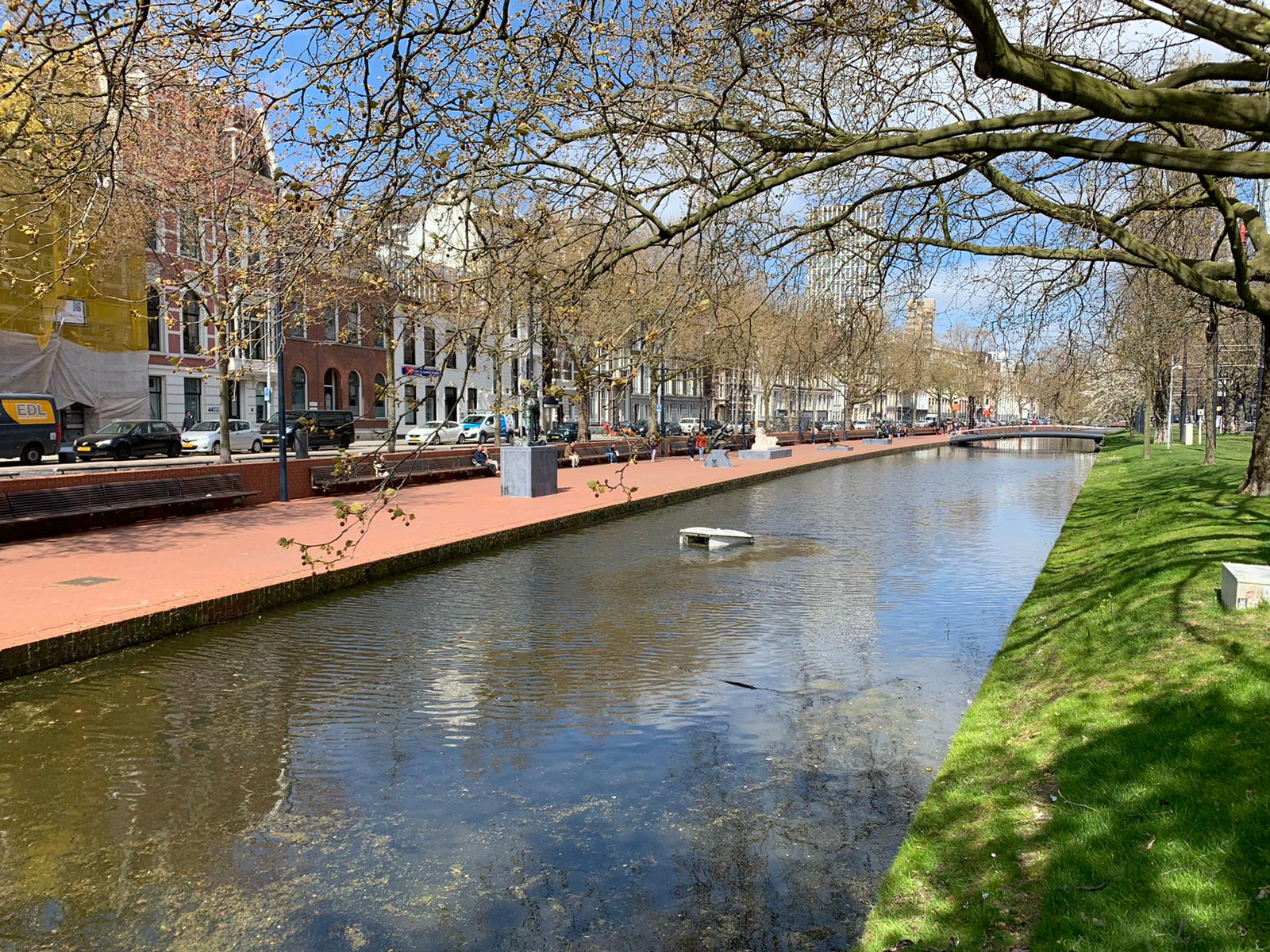 Environmental Engineering Startups in the Netherlands