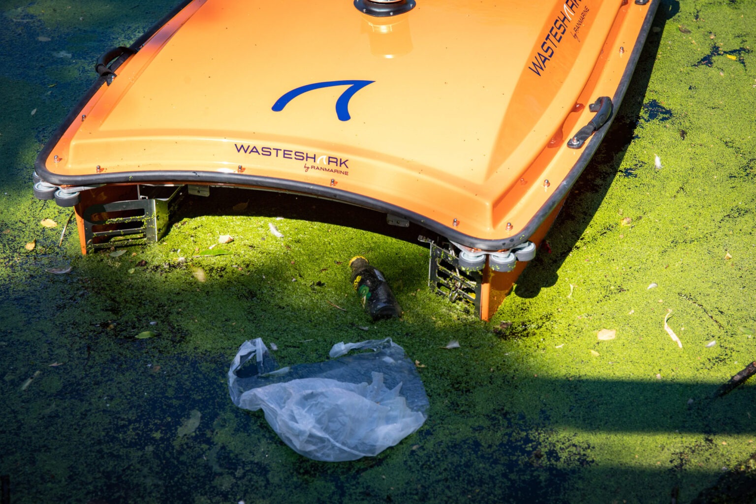 Algae growth will become a bigger challenge than plastic pollution ...