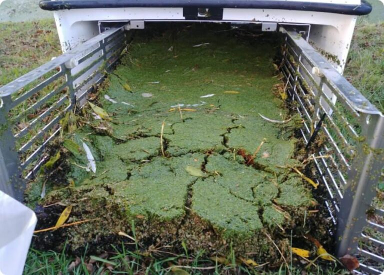 Defeating blue-green algae: Meet the advanced MegaShark - RanMarine