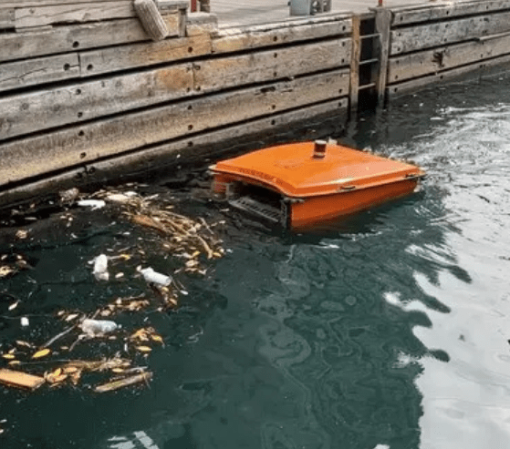 PortsToronto Network Remove 43kg and Nearly 63,000 Small Pieces of ...